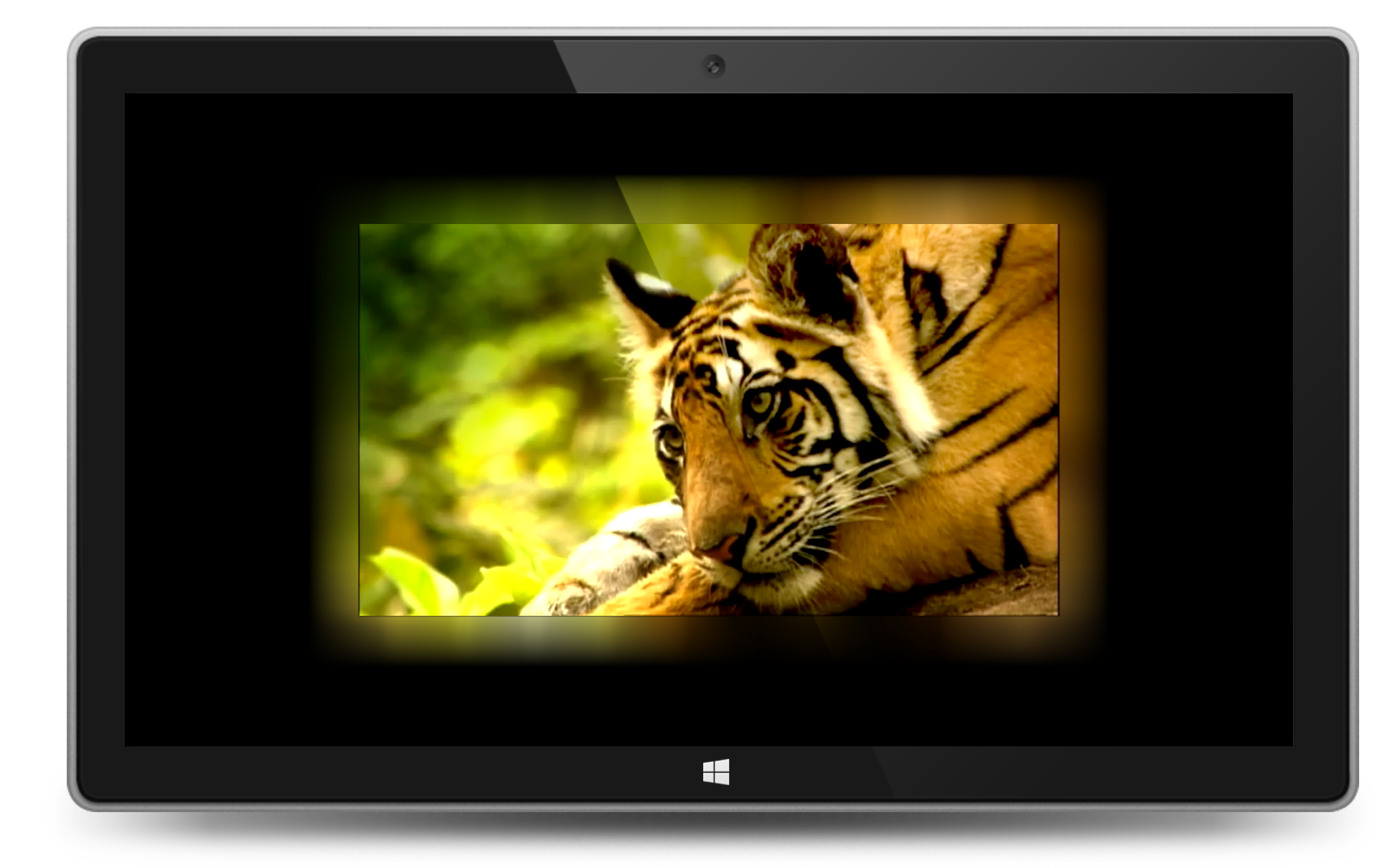 Stefan Van Damme - Best Browser Extensions/Apps/Widgets