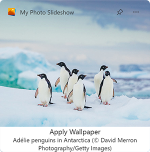 Discover the Top-rated and Best Windows widgets